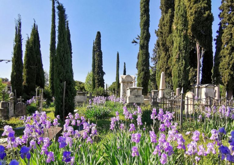The English Cemetery of Florence. The Isle of the Dead